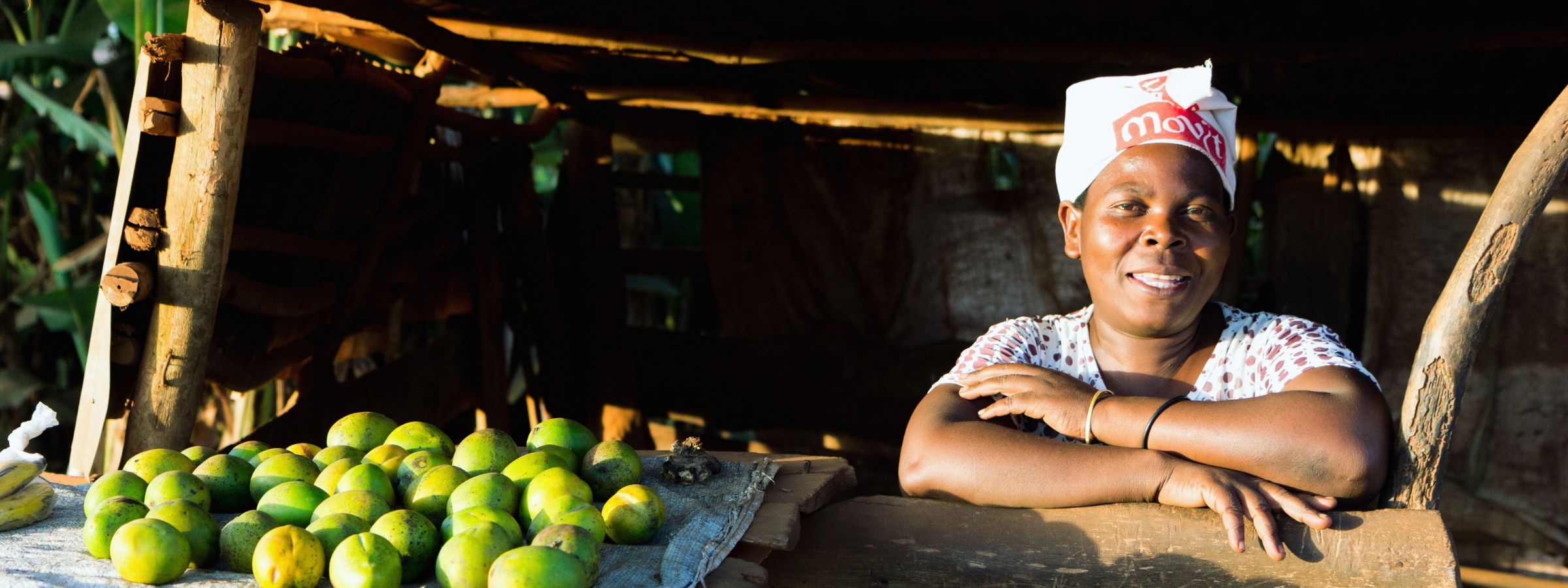 Homepage - Alliance for Financial Inclusion
